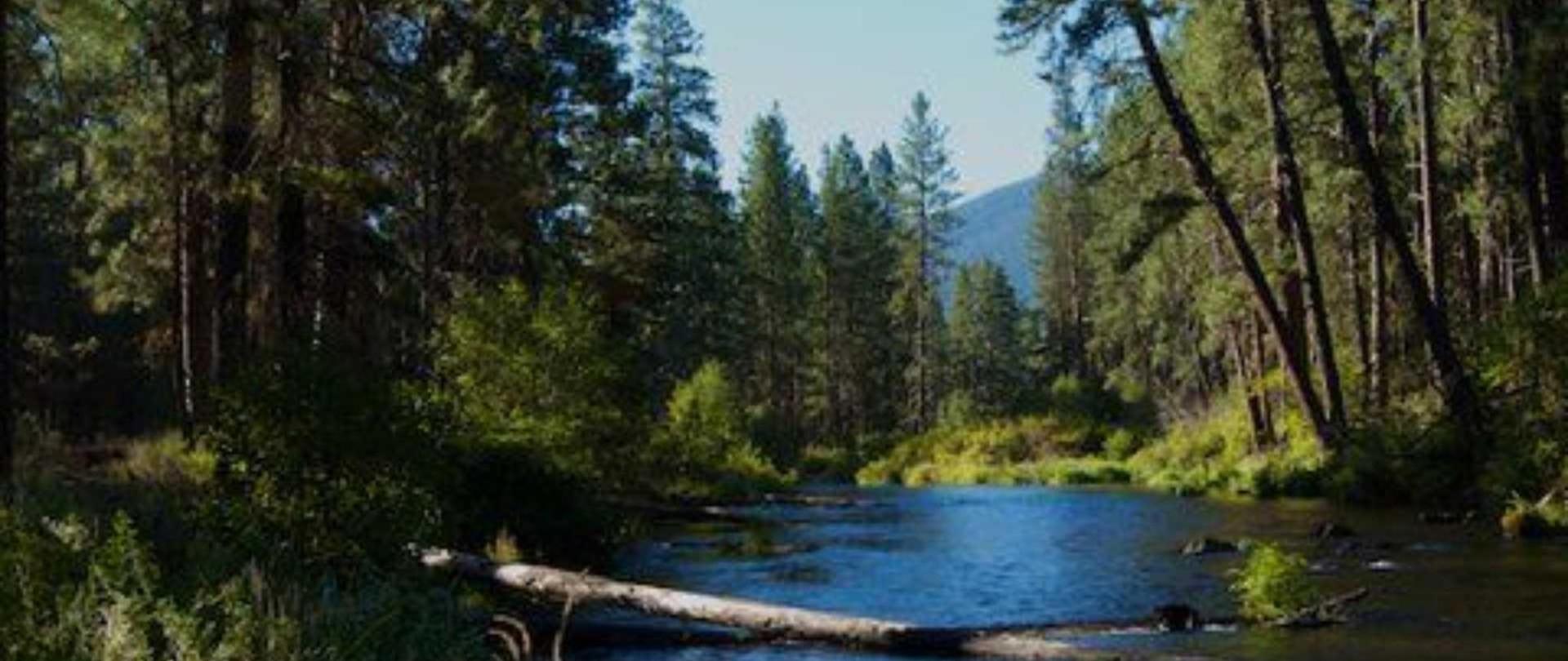 Cold Springs Resort - Camp Sherman - United States